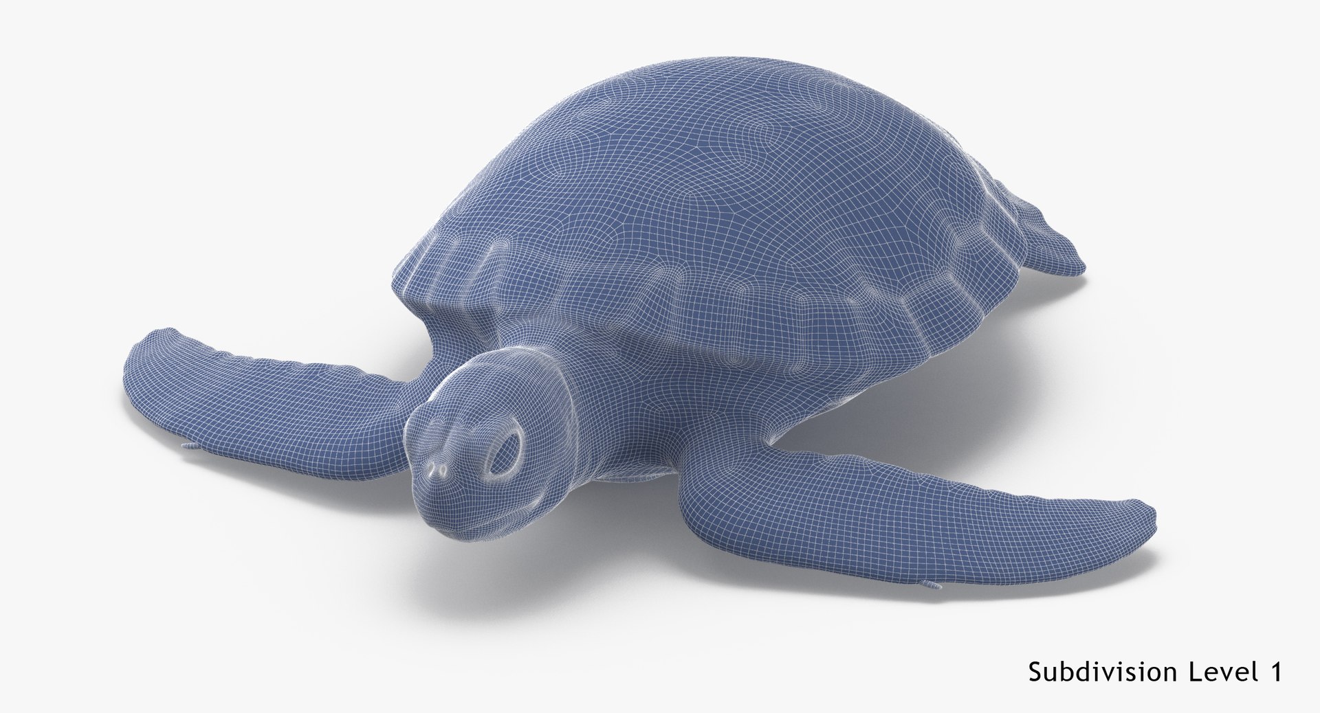 sea turtle rigged 3d model