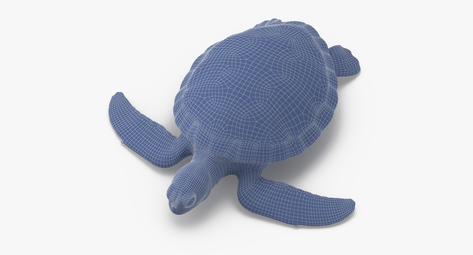 sea turtle rigged 3d model