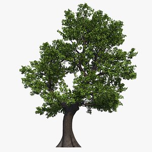 Capital column 3D - TurboSquid 1433556