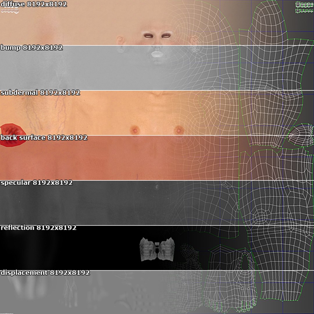 face 9 vivi v3 3d max