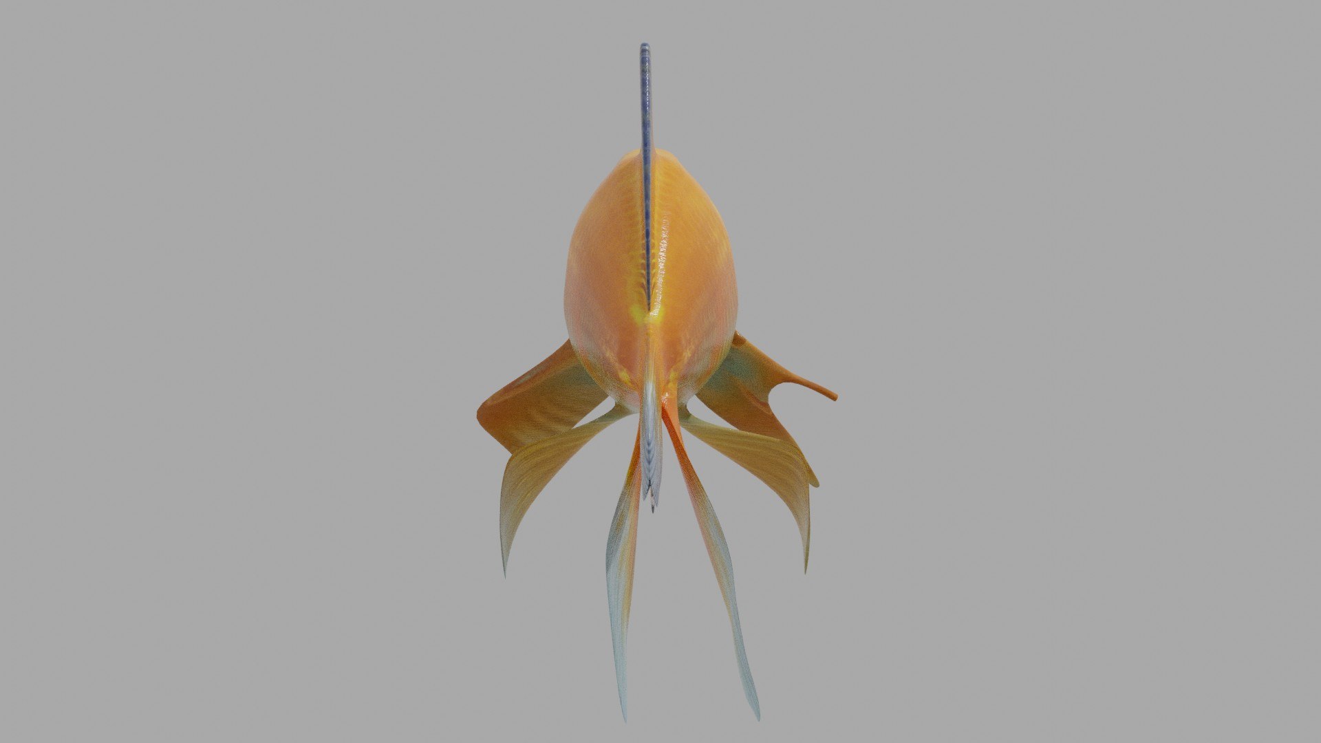 Goldfish 3D Model - TurboSquid 2069864