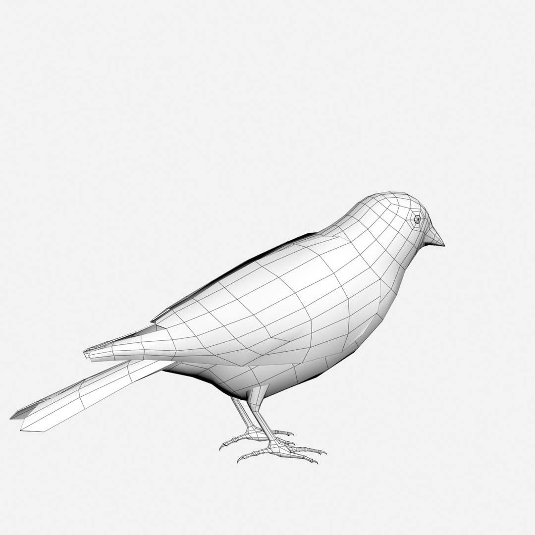 bird 3d model