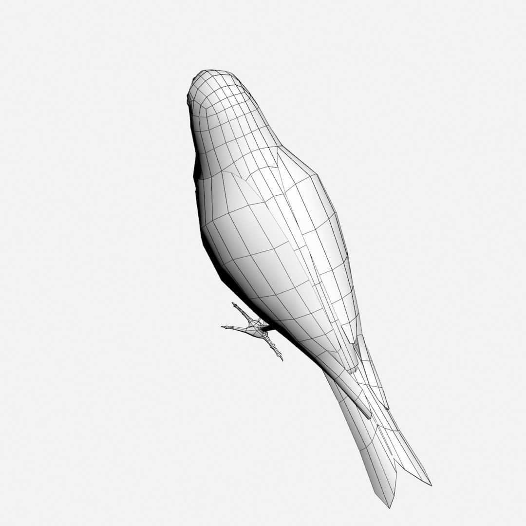 bird 3d model