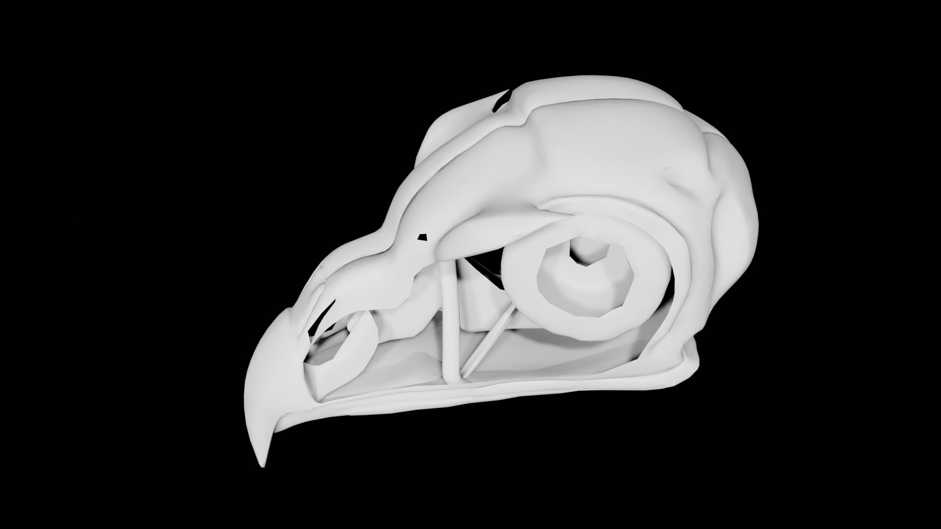 3D Bird Skull Model - TurboSquid 1826457