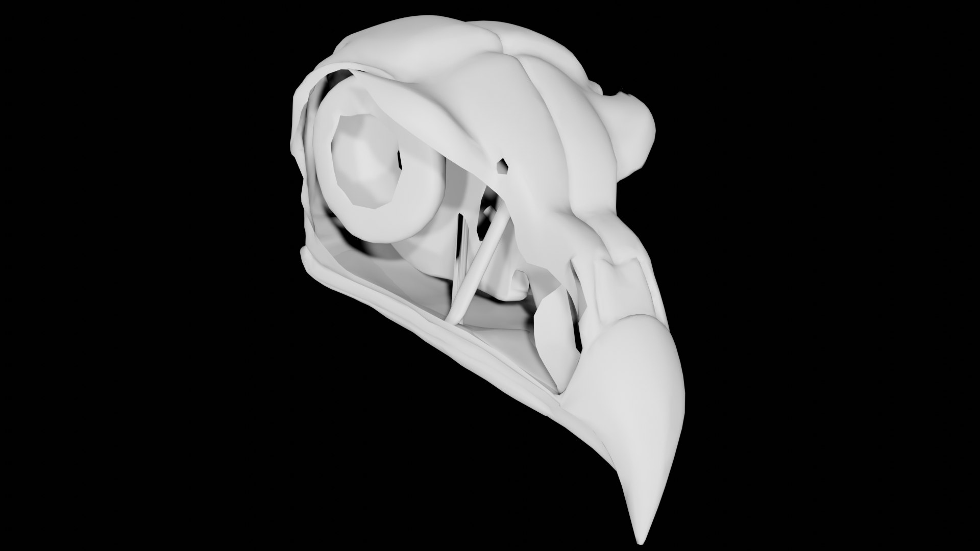 3D Bird Skull Model - TurboSquid 1826457