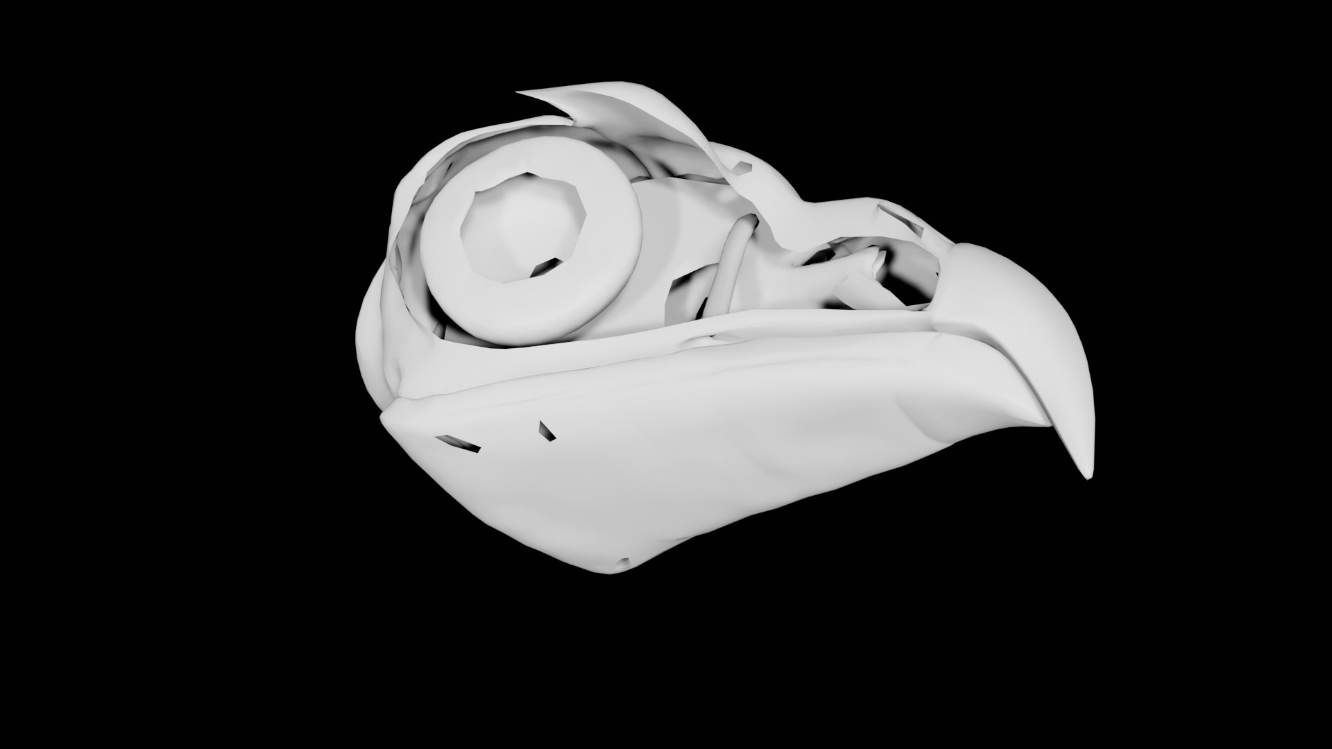 3D Bird Skull Model - TurboSquid 1826457