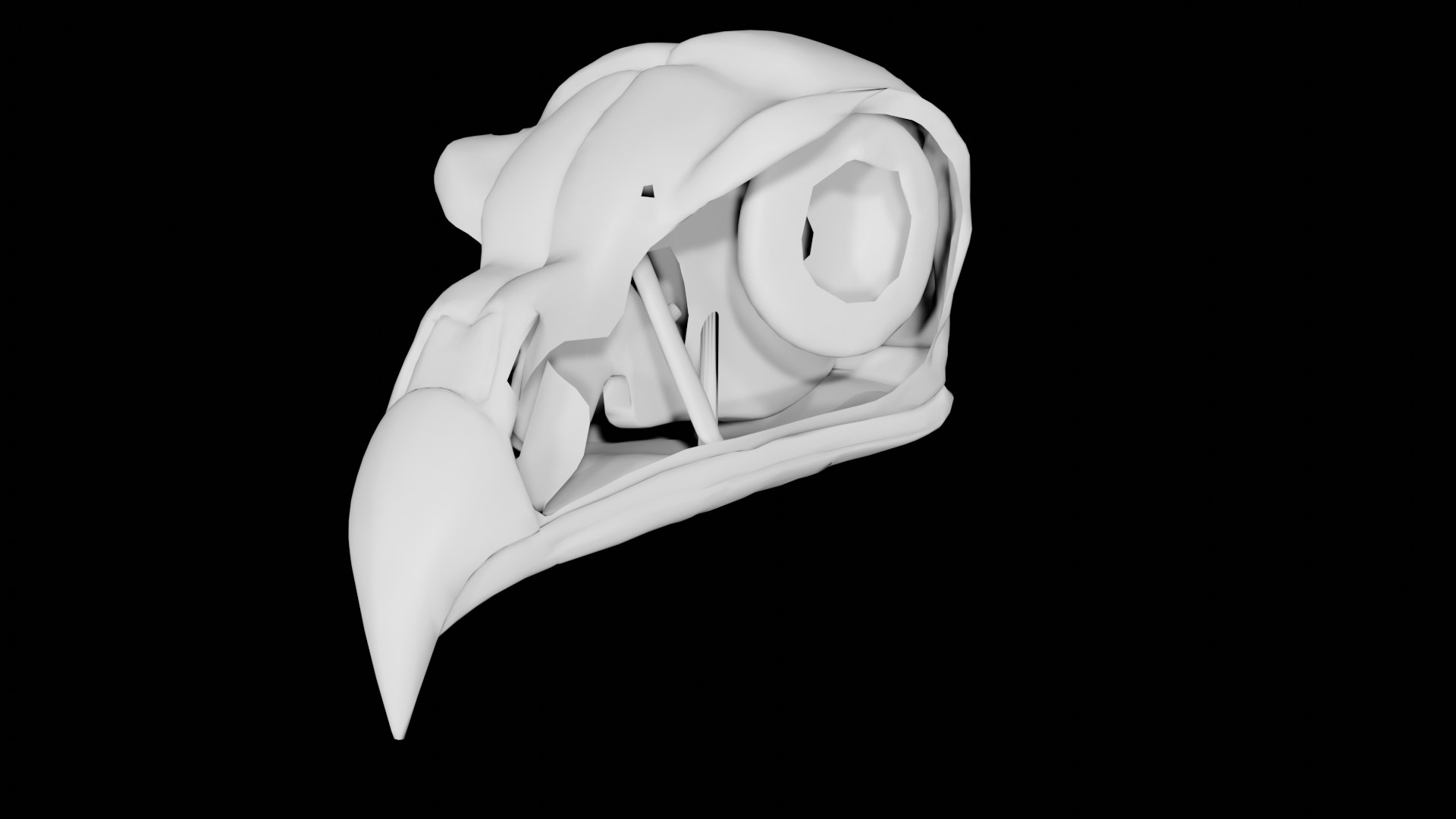 3D Bird Skull Model - TurboSquid 1826457