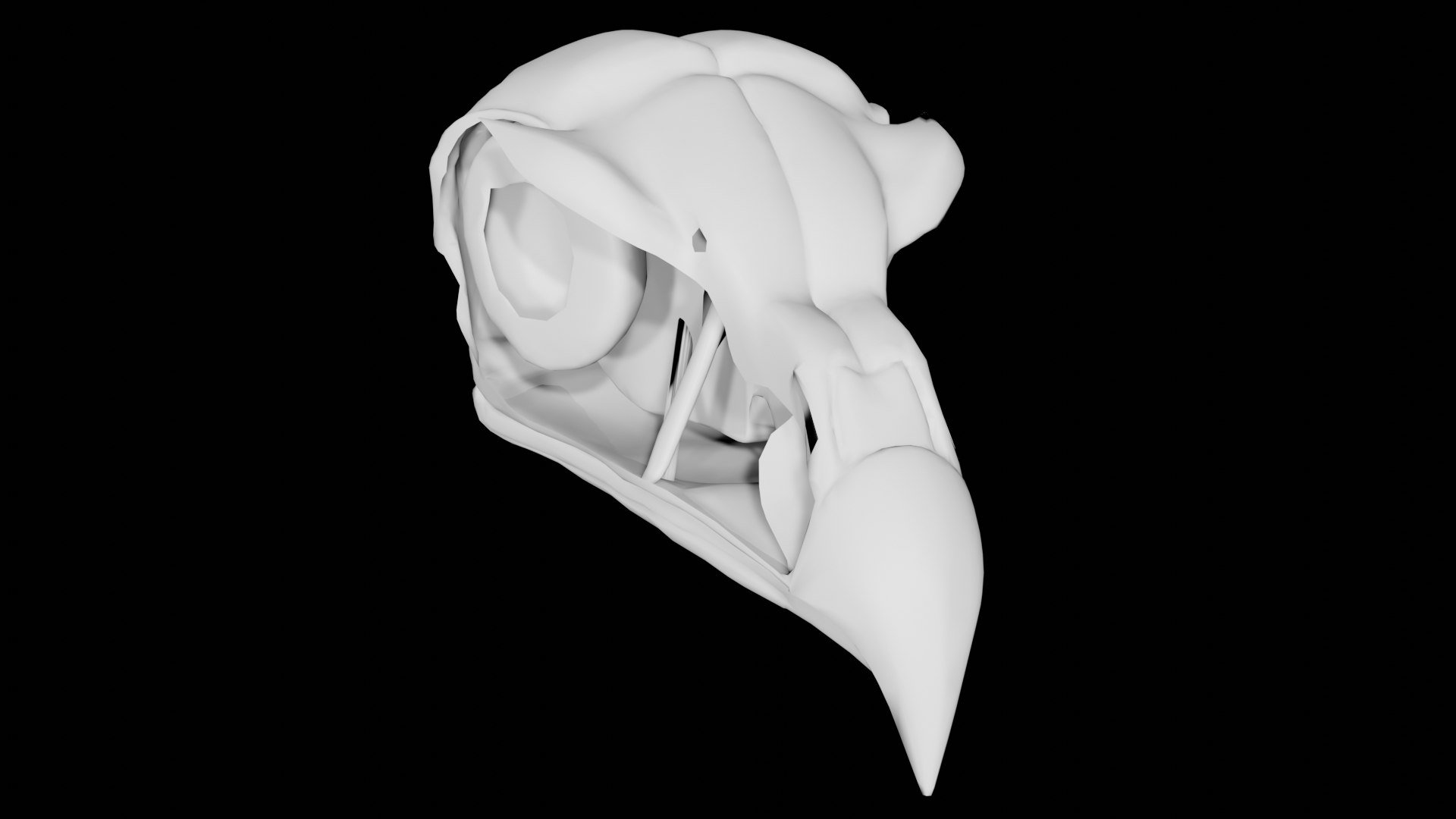 3D Bird Skull Model - TurboSquid 1826457