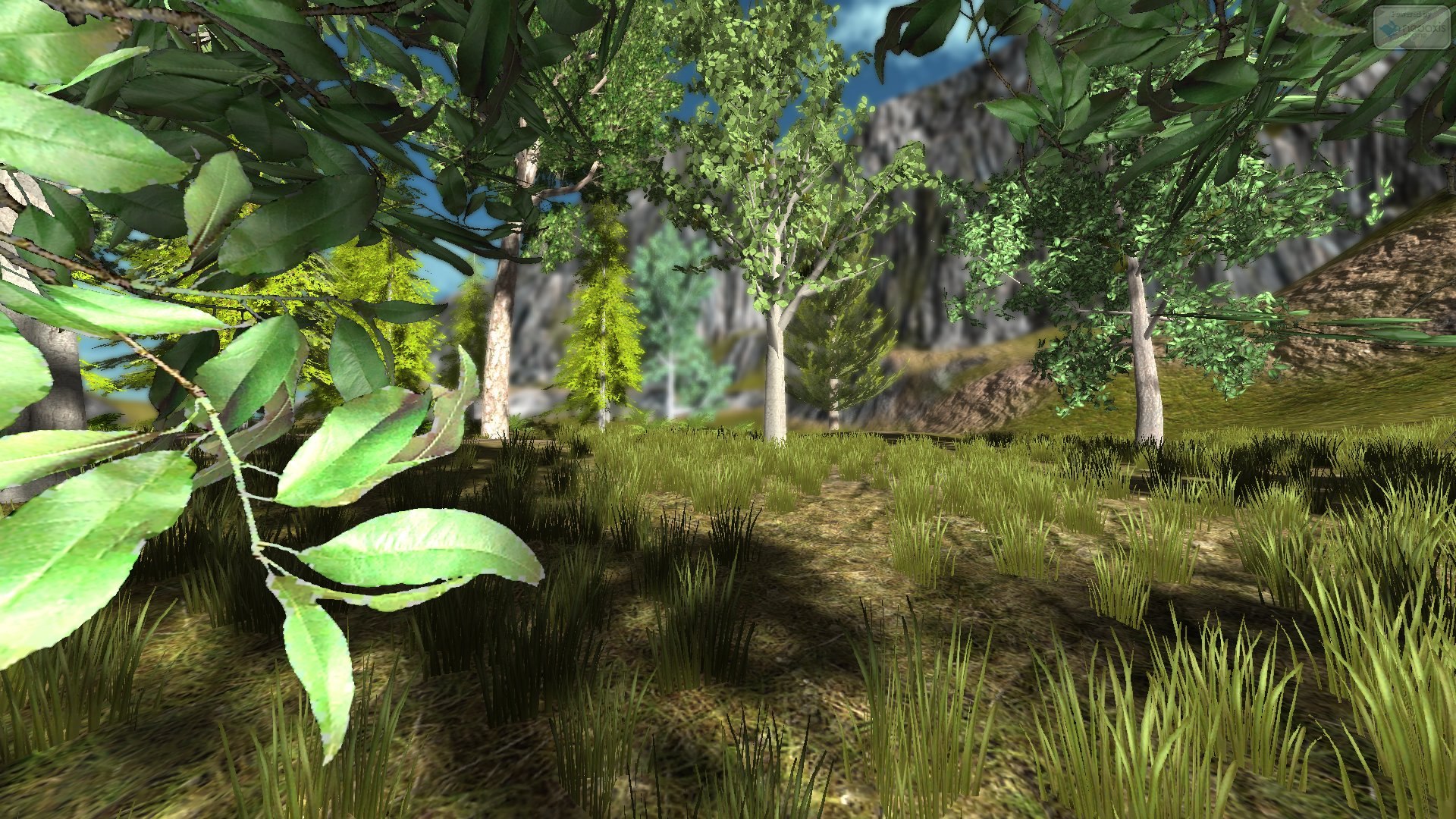Vegetation Pack Trees Bushes 3d Max
