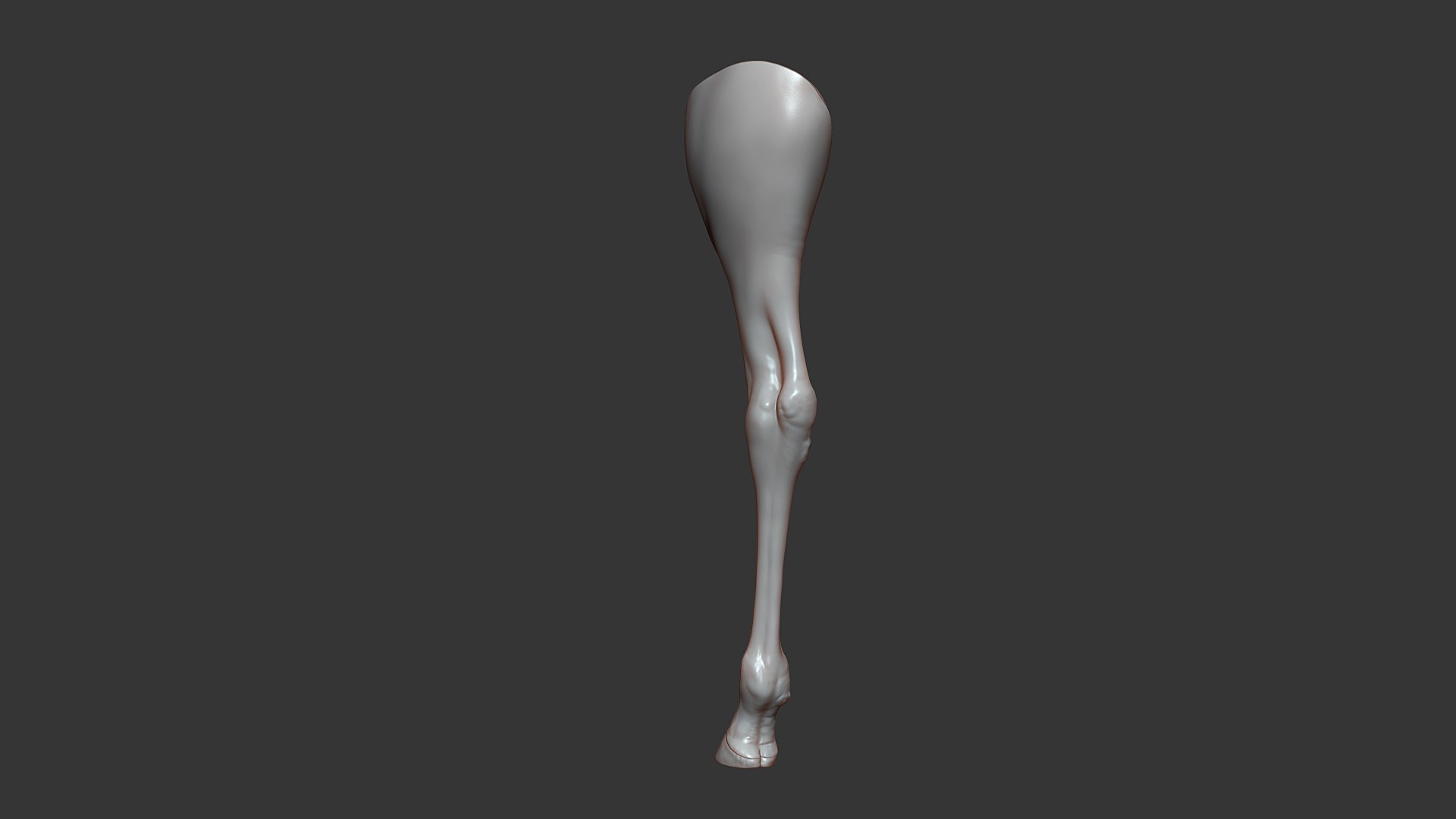 Giraffe Rear Leg Highpoly Sculpt 3D model - TurboSquid 1813924