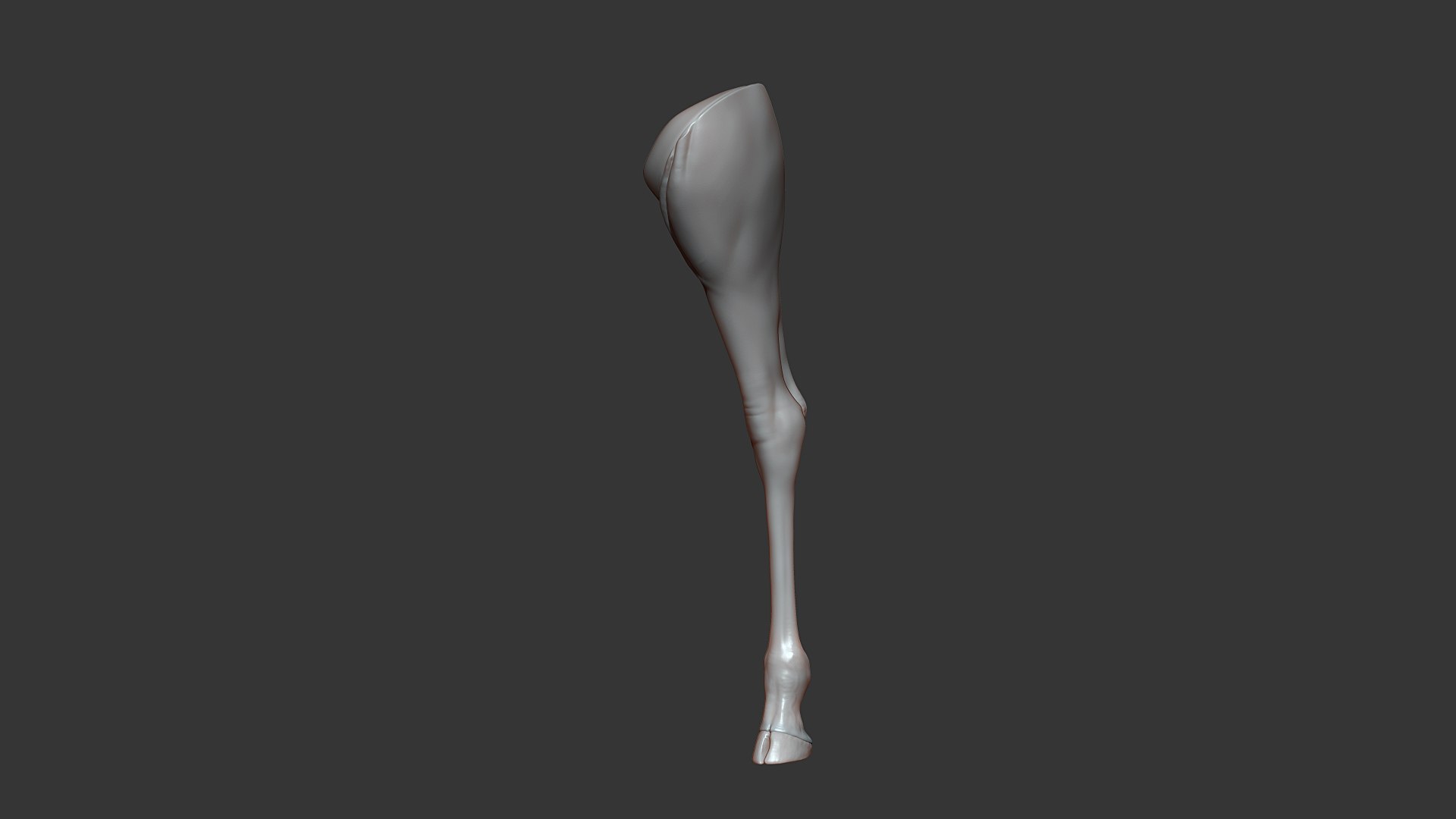 Giraffe Rear Leg Highpoly Sculpt 3D model - TurboSquid 1813924