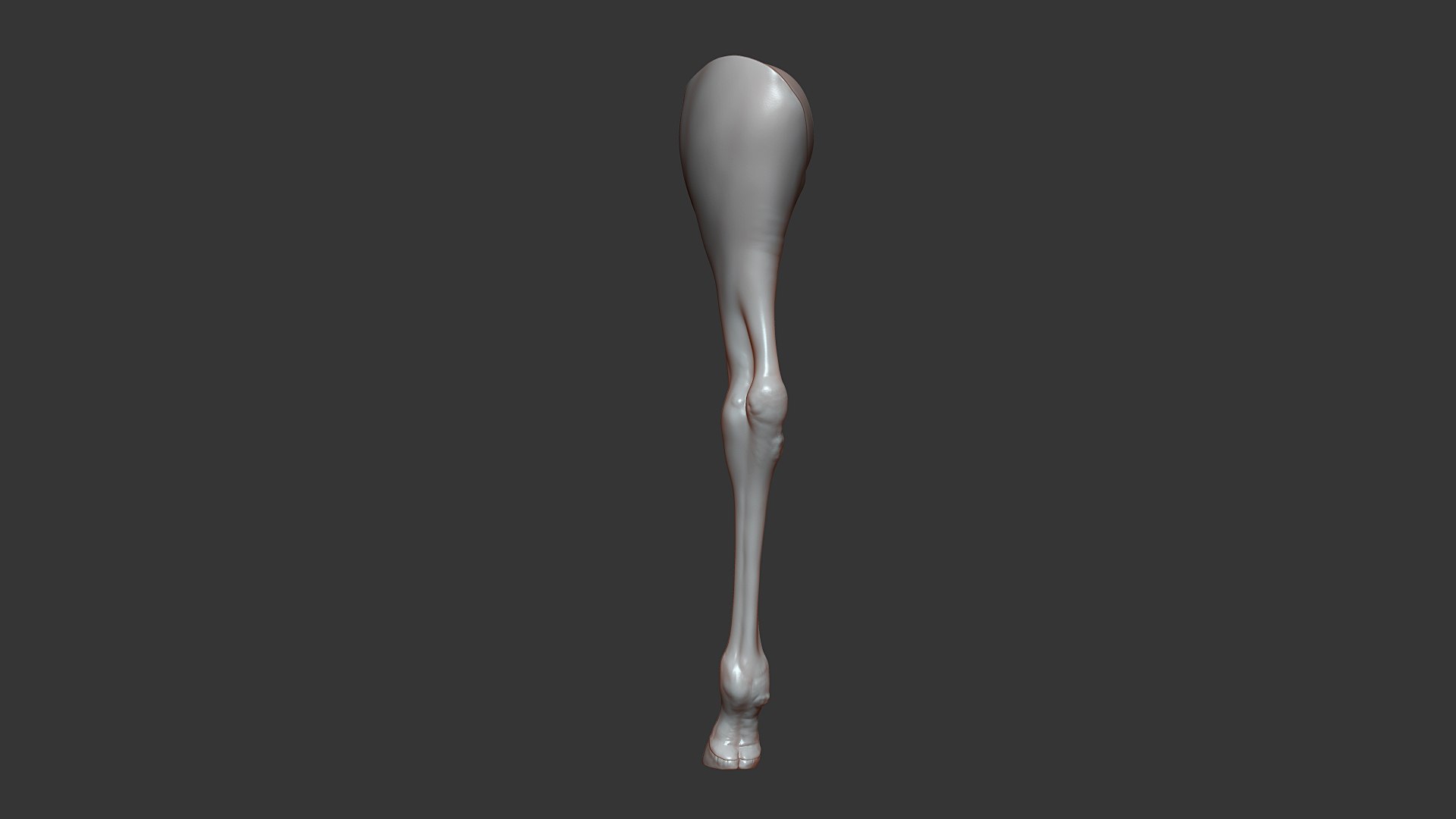Giraffe Rear Leg Highpoly Sculpt 3D model - TurboSquid 1813924