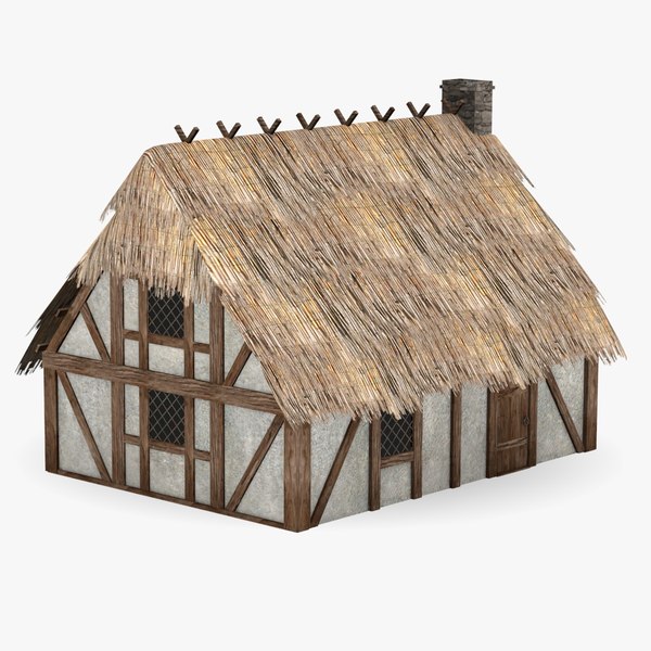 3d medieval house
