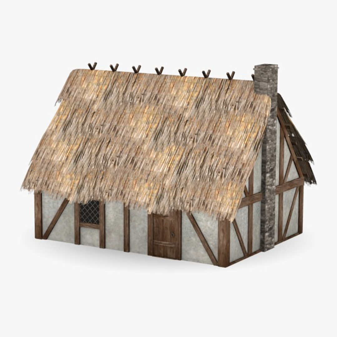 3d medieval house