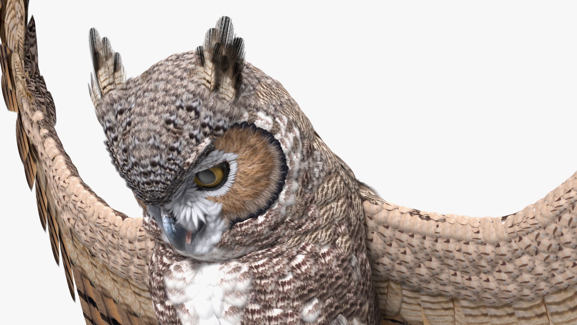 Great horned owl attacking 3D model - TurboSquid 1519607