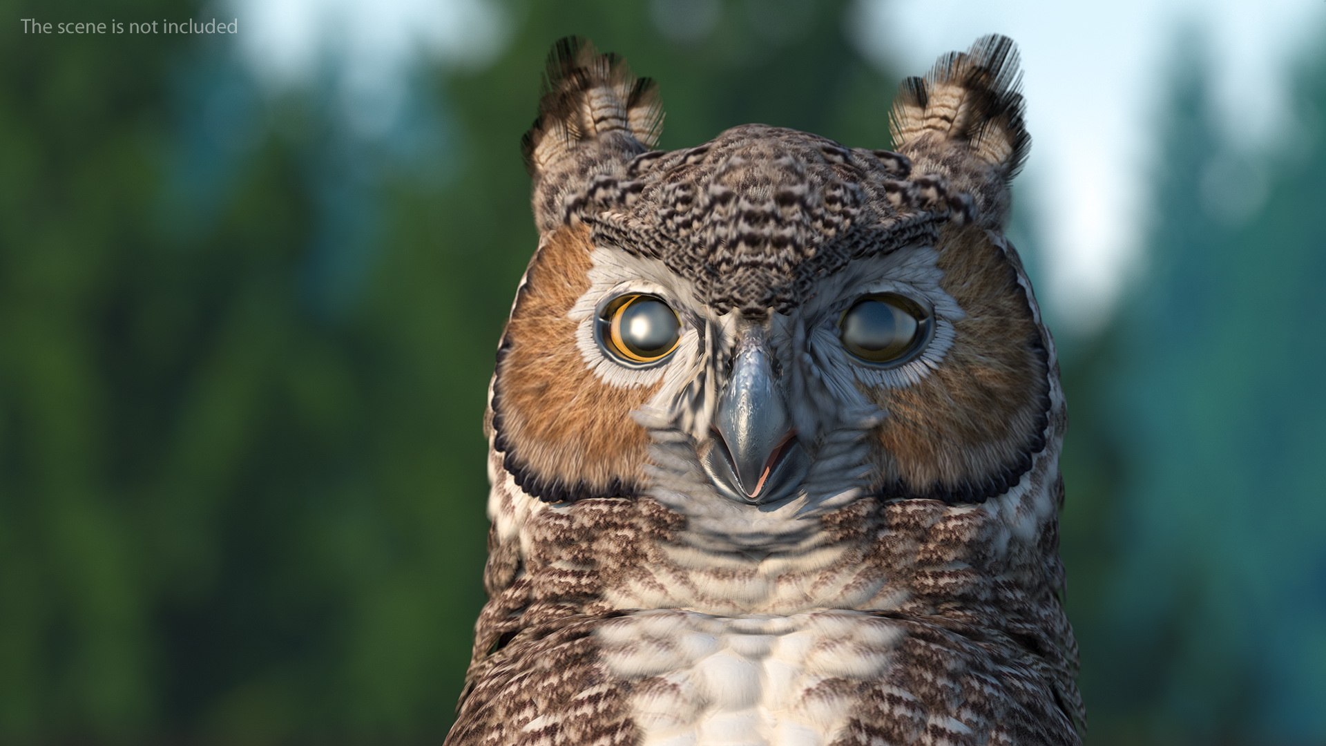 Great horned owl attacking 3D model - TurboSquid 1519607