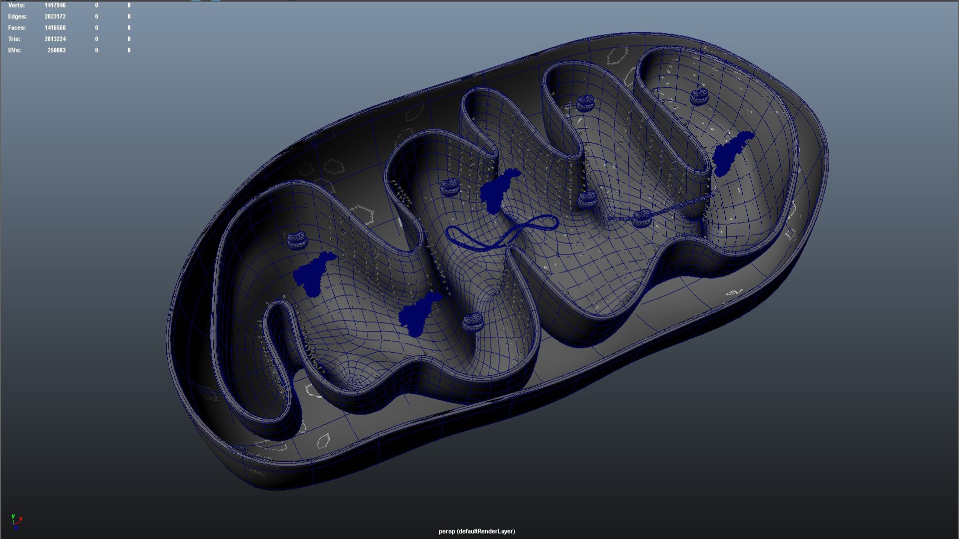 Mitochondria 3D Model - TurboSquid 2184672
