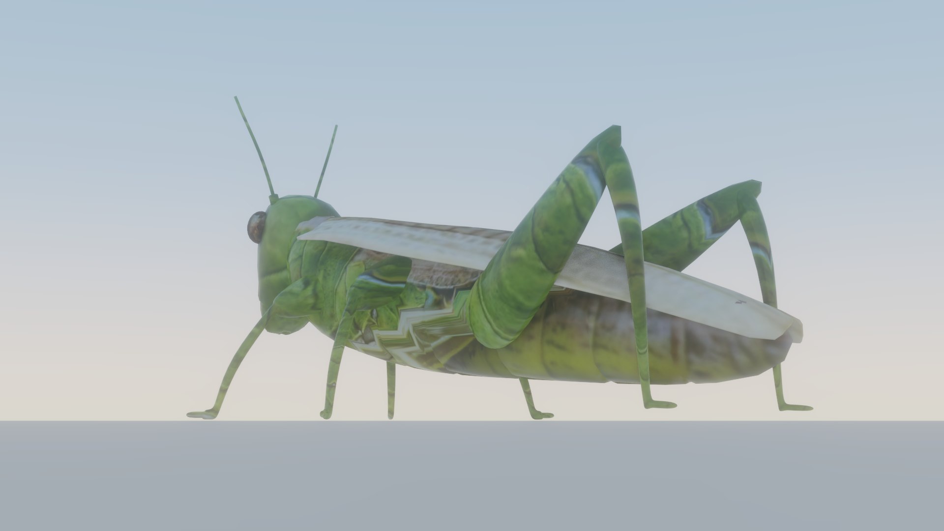 3D grasshopper model - TurboSquid 2071861
