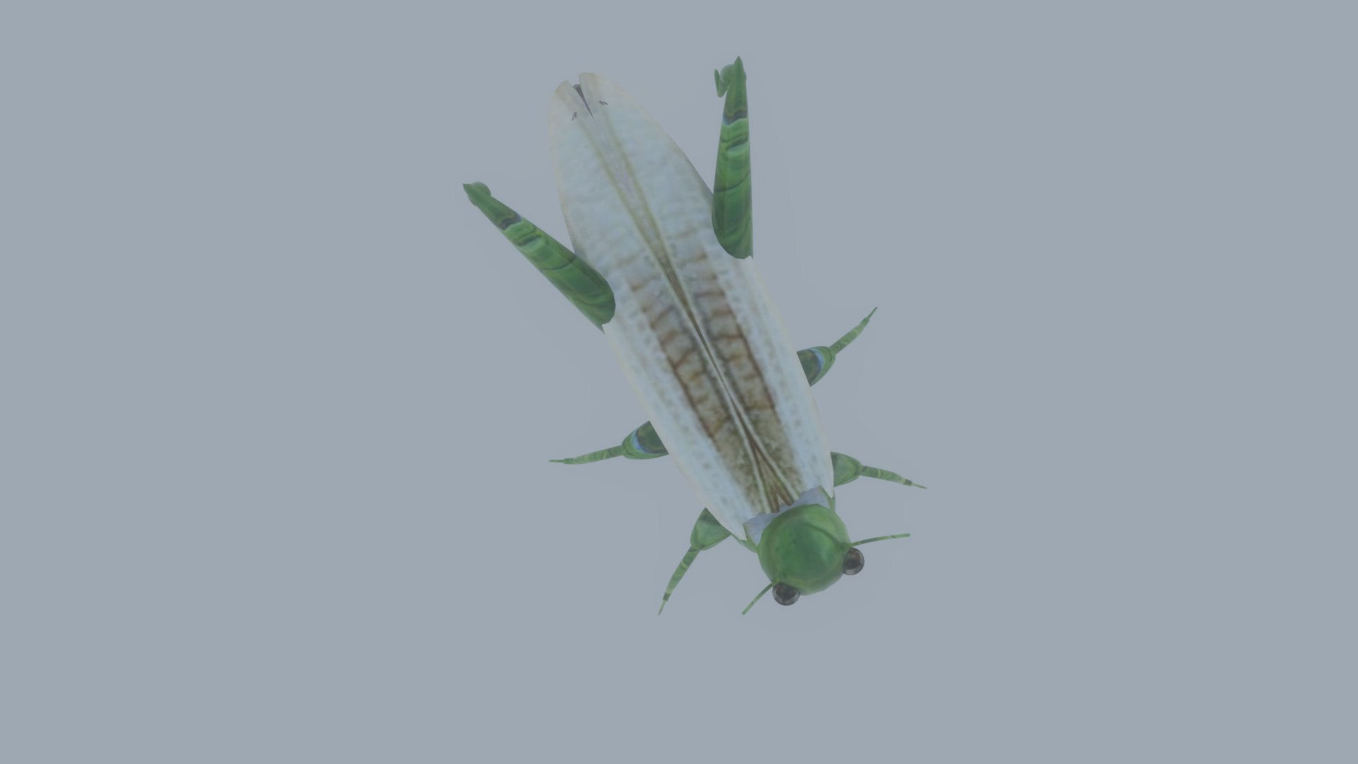 3D Grasshopper Model - TurboSquid 2071861