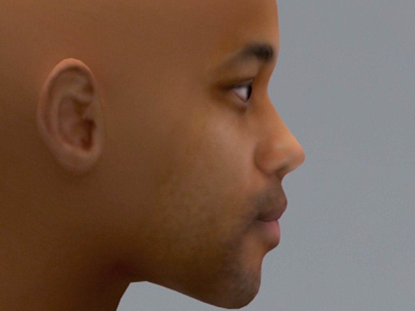 Smith Face Uv 3d Model