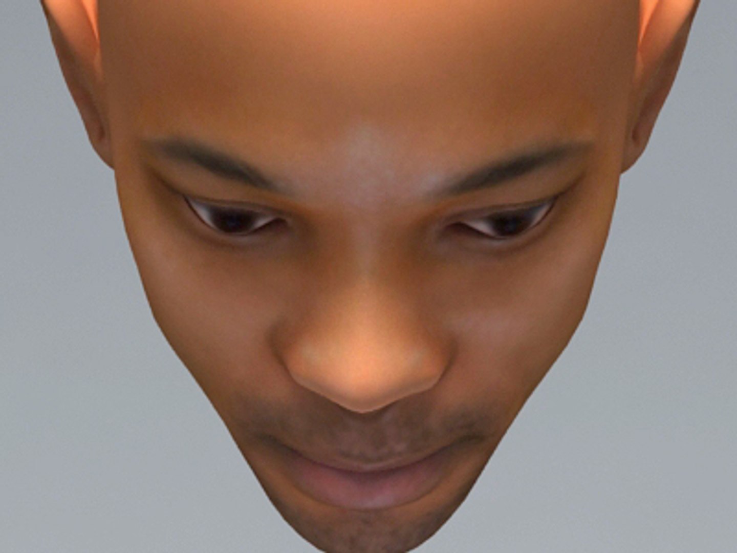 Smith Face Uv 3d Model