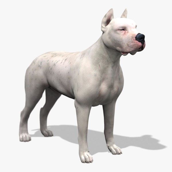 chow dog 3d max