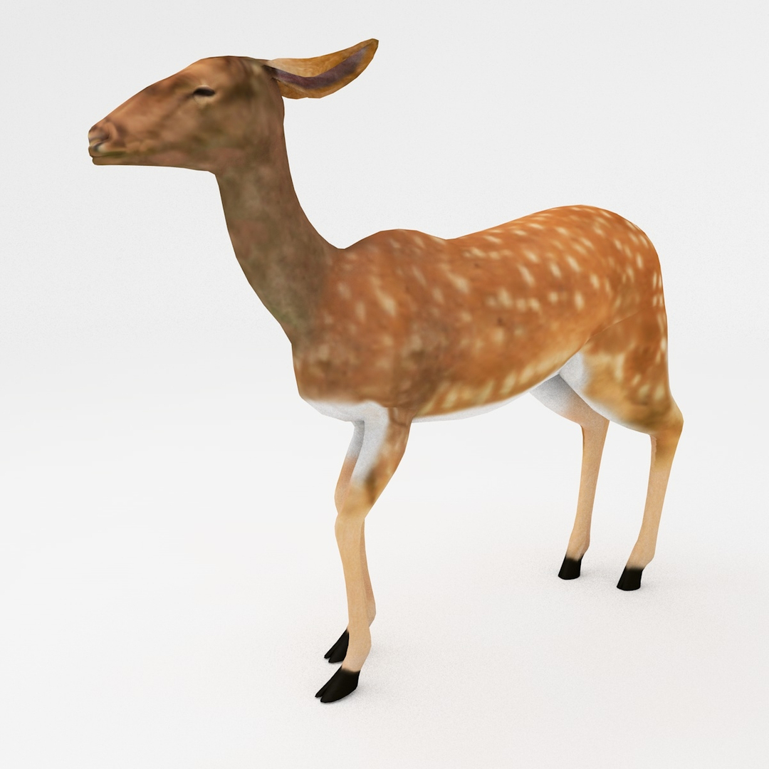 3d deer character dynamic model
