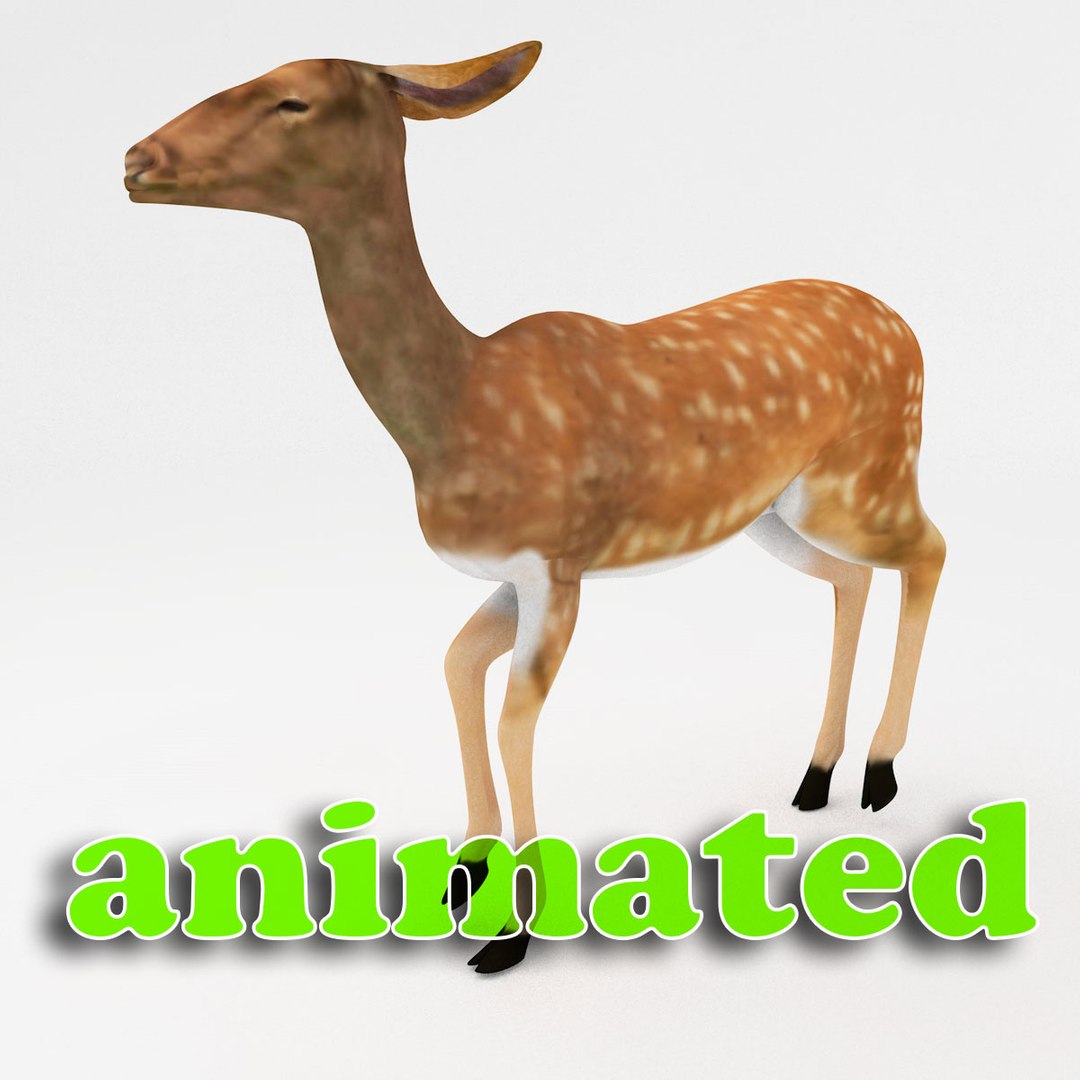 3d deer character dynamic model