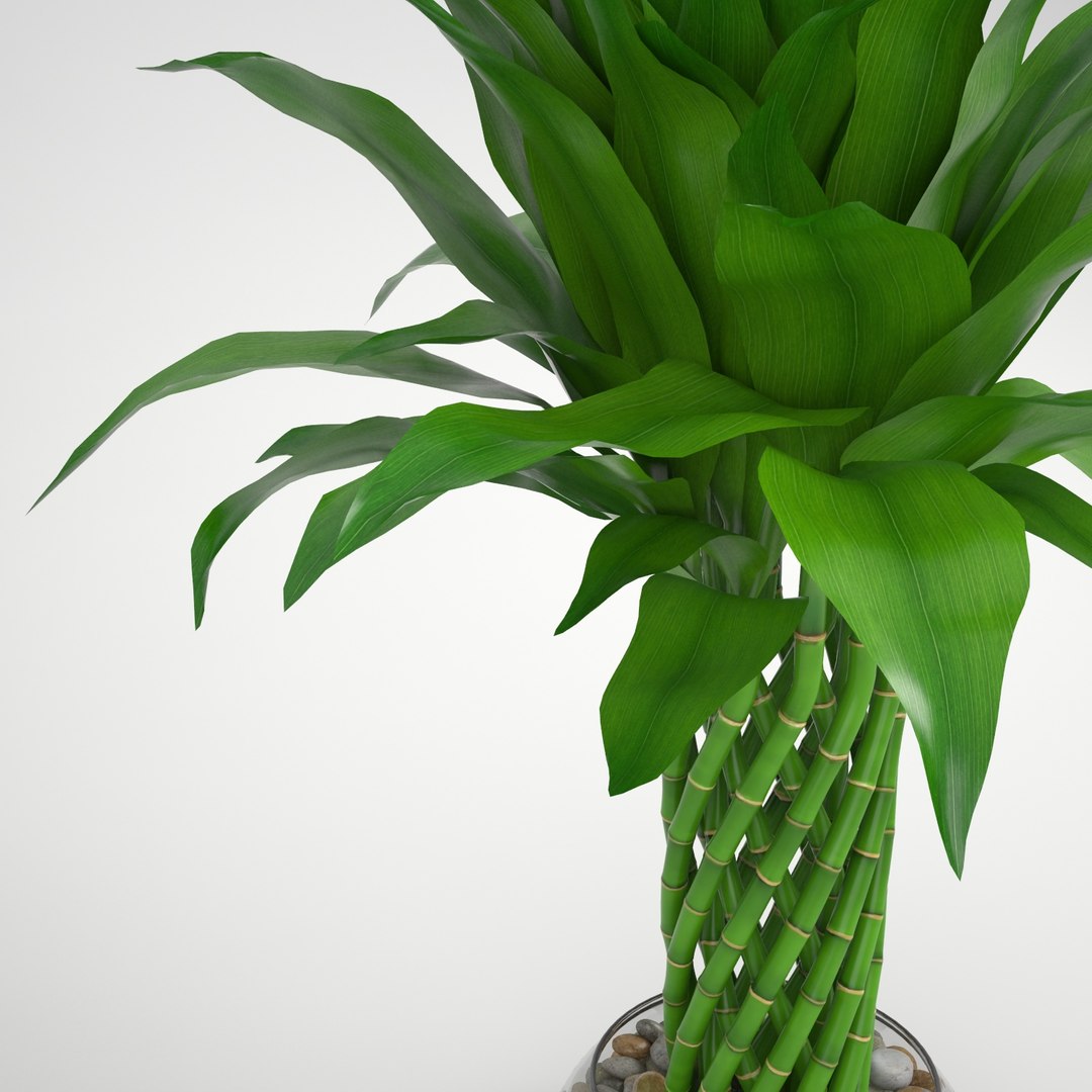 3ds Max Bamboo