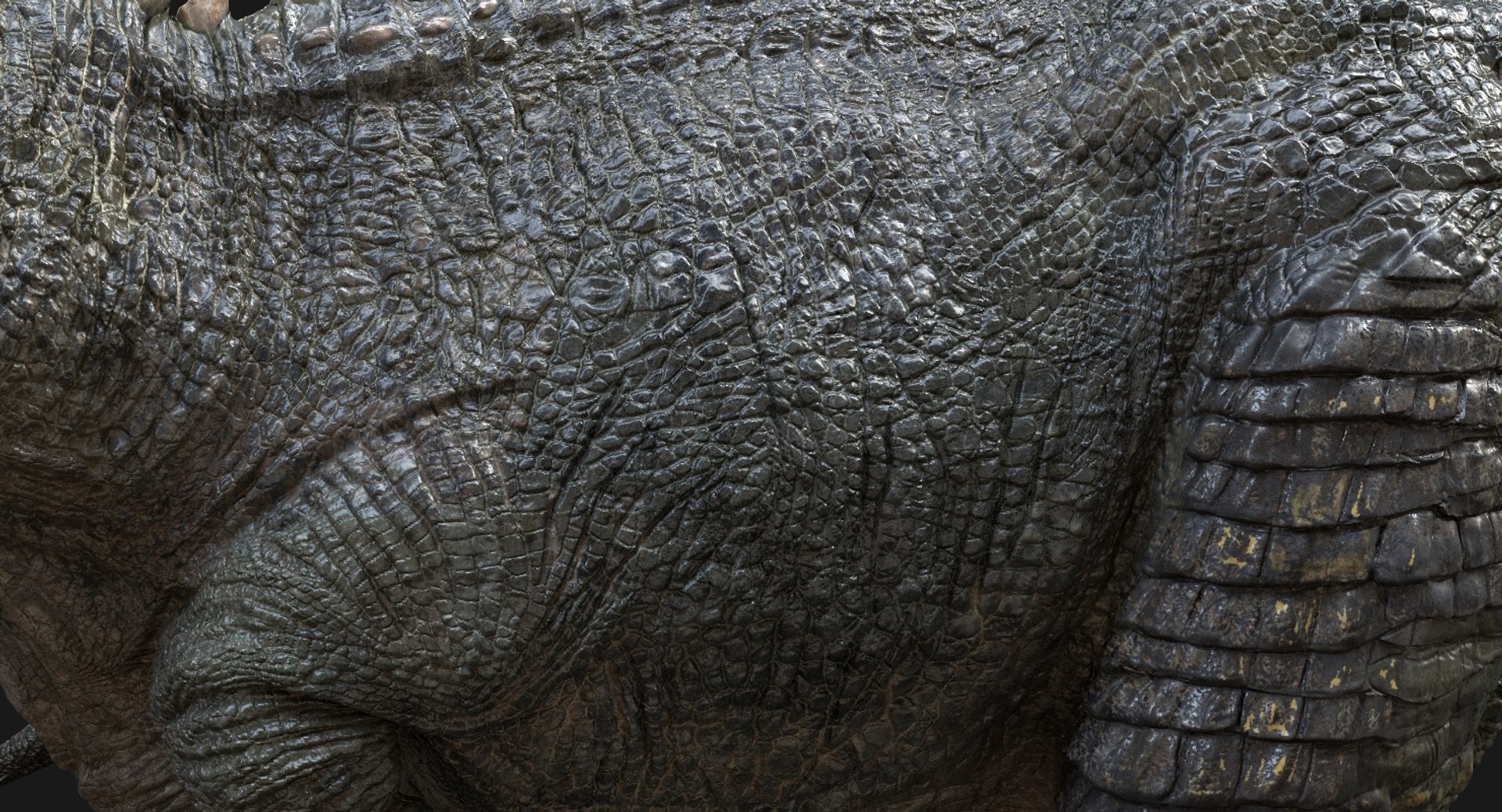 Giganoto Giganotosaurus Saurus 3D Model - TurboSquid 1386298