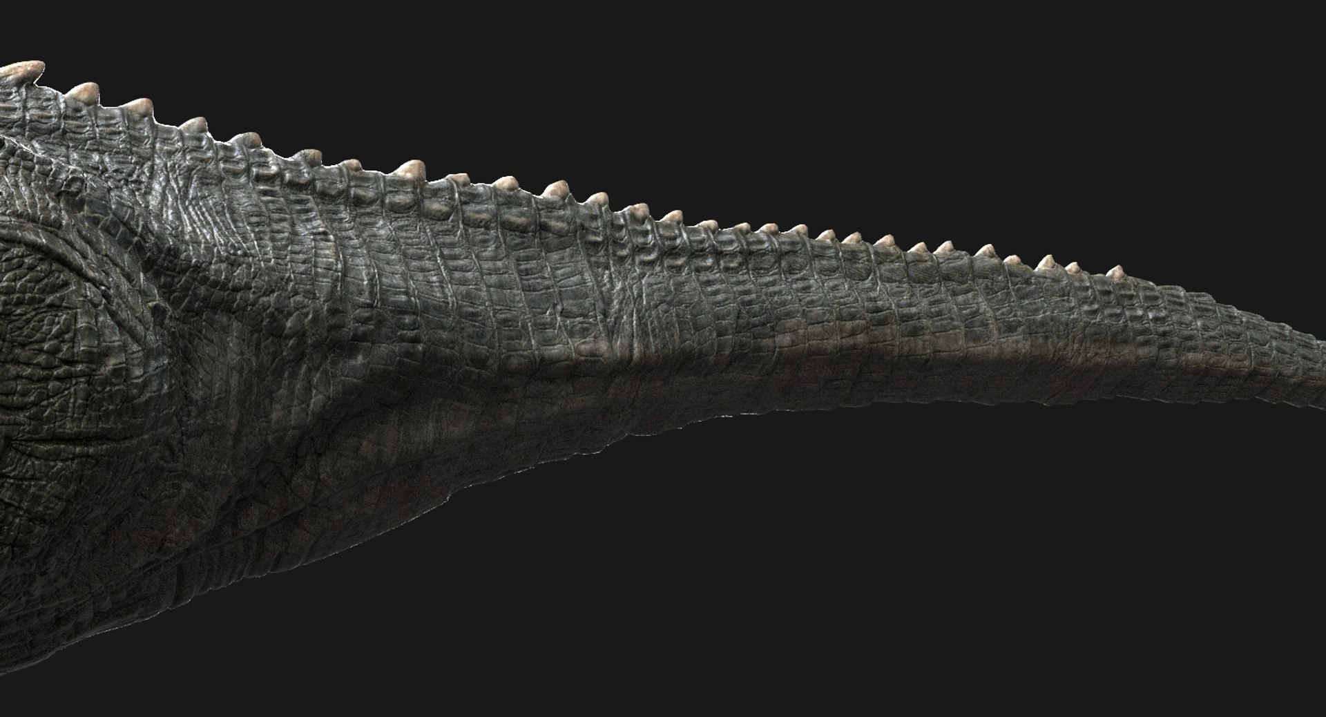 Giganoto Giganotosaurus Saurus 3D Model - TurboSquid 1386298