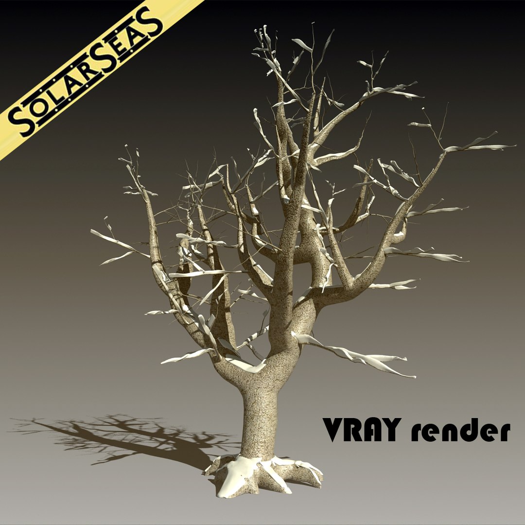 3d Scanline Winter Deciduous Tree