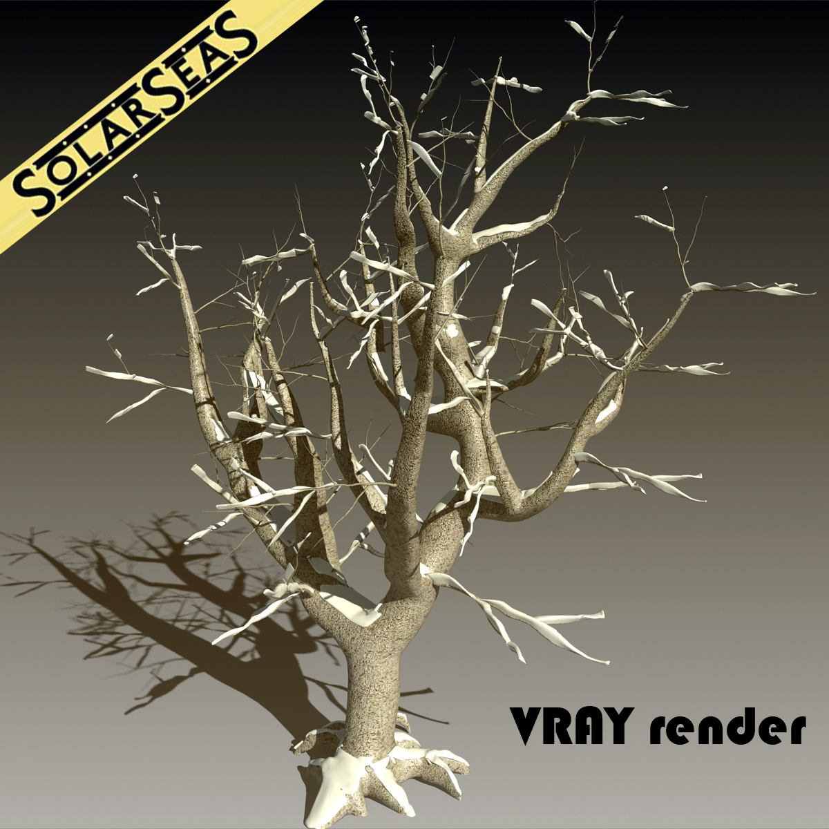 3d scanline winter deciduous tree