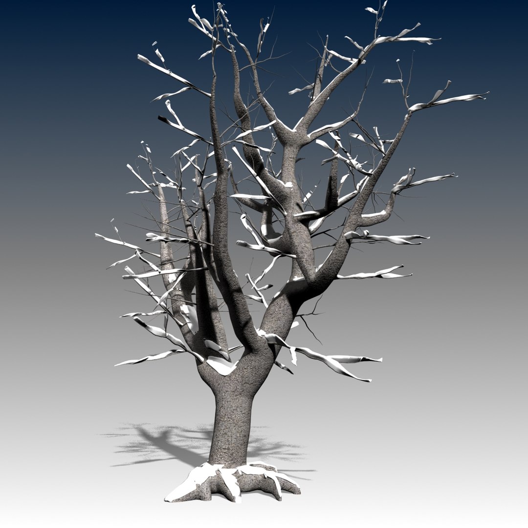 3d Scanline Winter Deciduous Tree