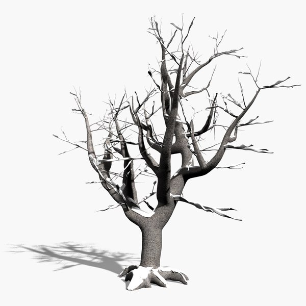 3d scanline winter deciduous tree