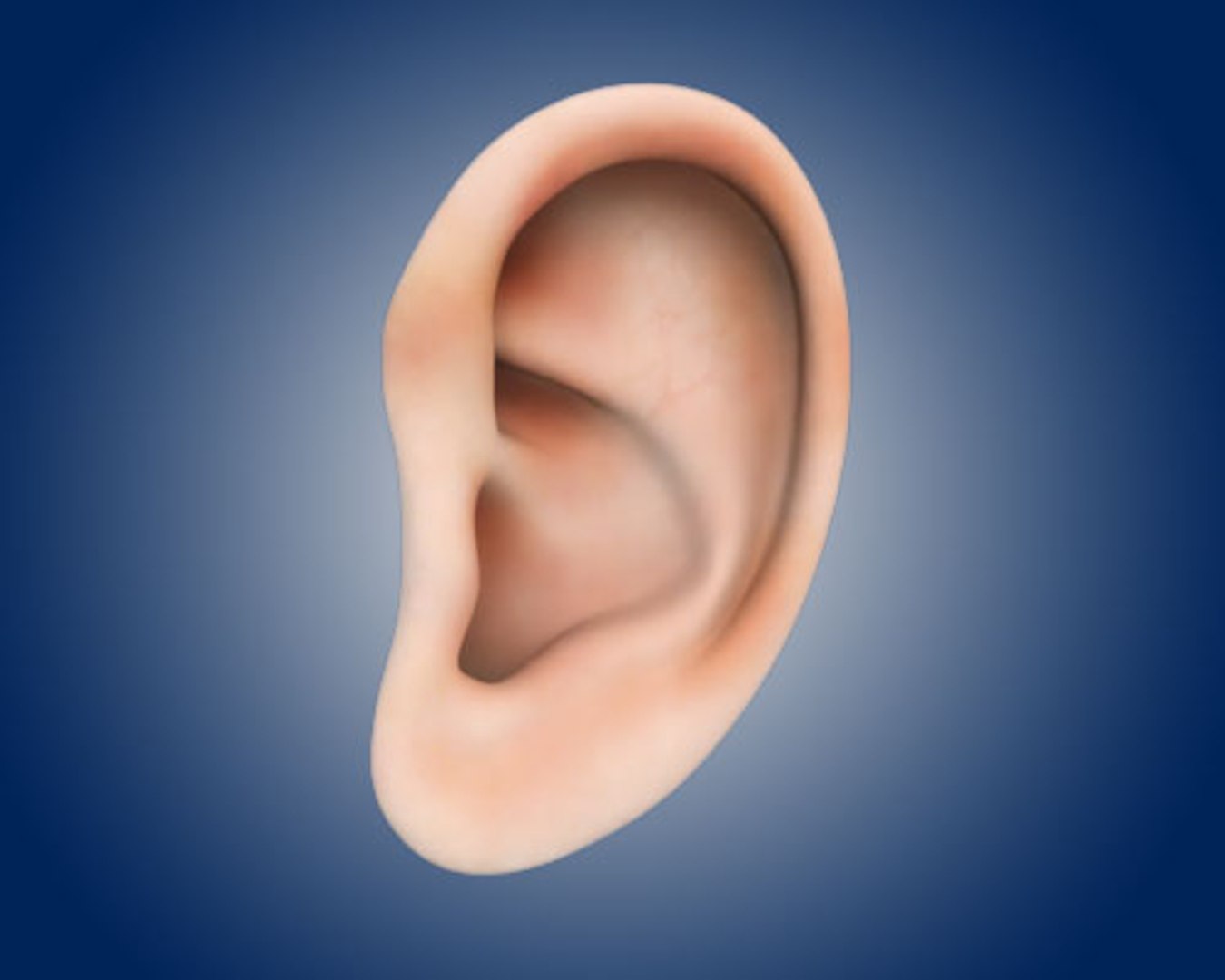 realistic ear 3ds
