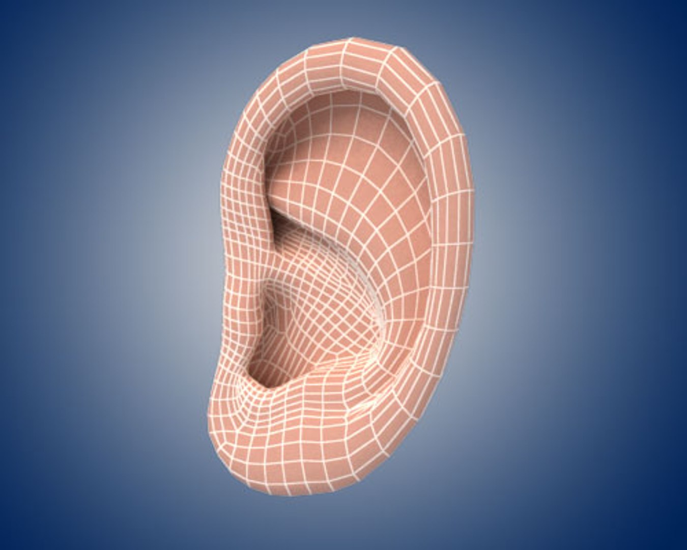 realistic ear 3ds