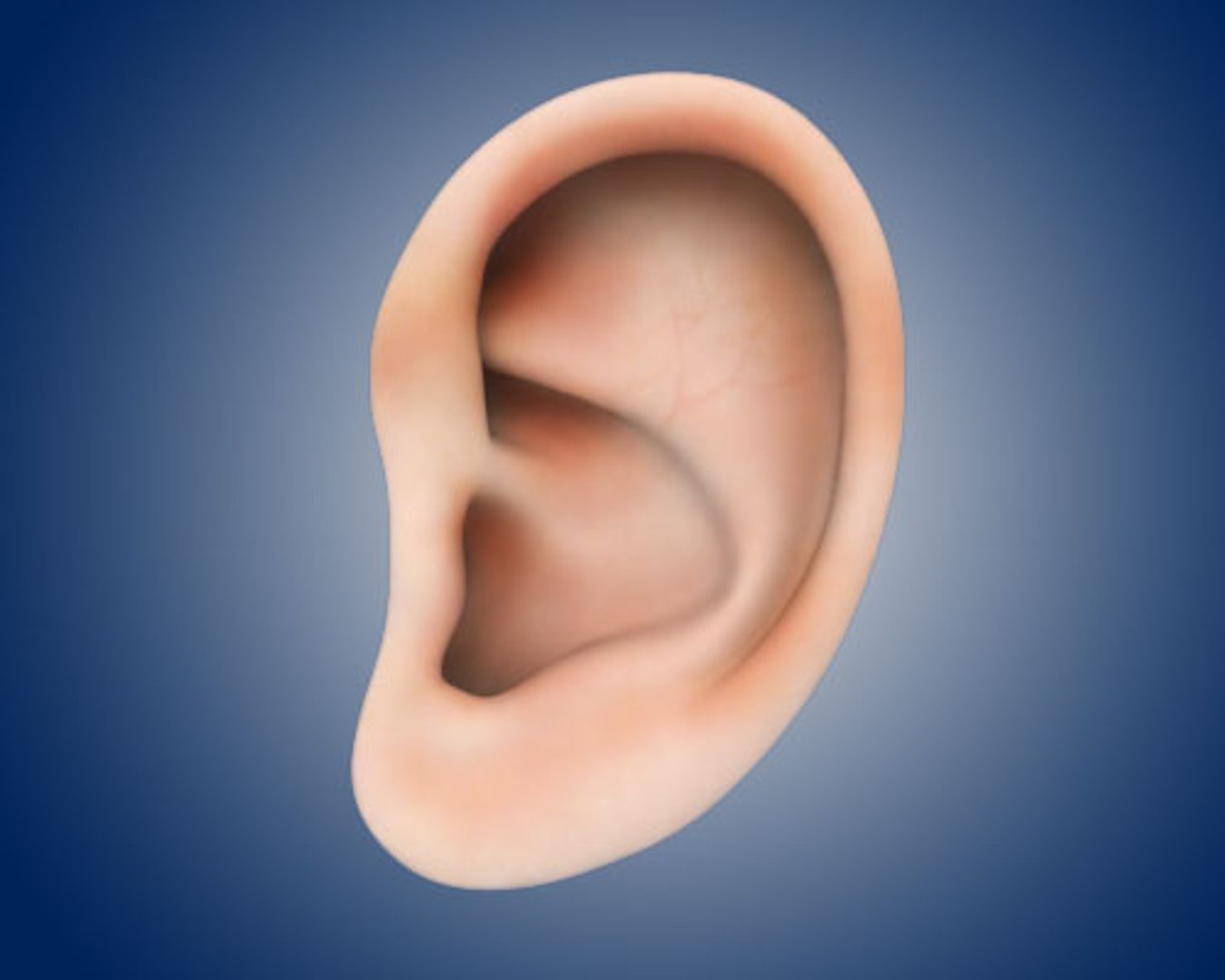 realistic ear 3ds
