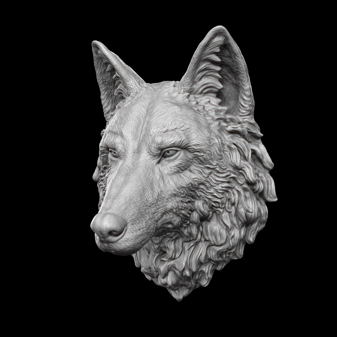 3D model wild wolf head - TurboSquid 1304711