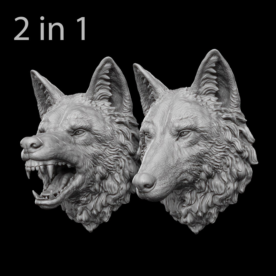 3D model wild wolf head - TurboSquid 1304711