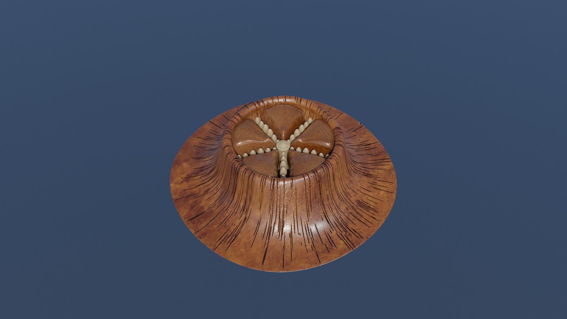 3D Model Edicaran Animals Four Species - TurboSquid 2323340