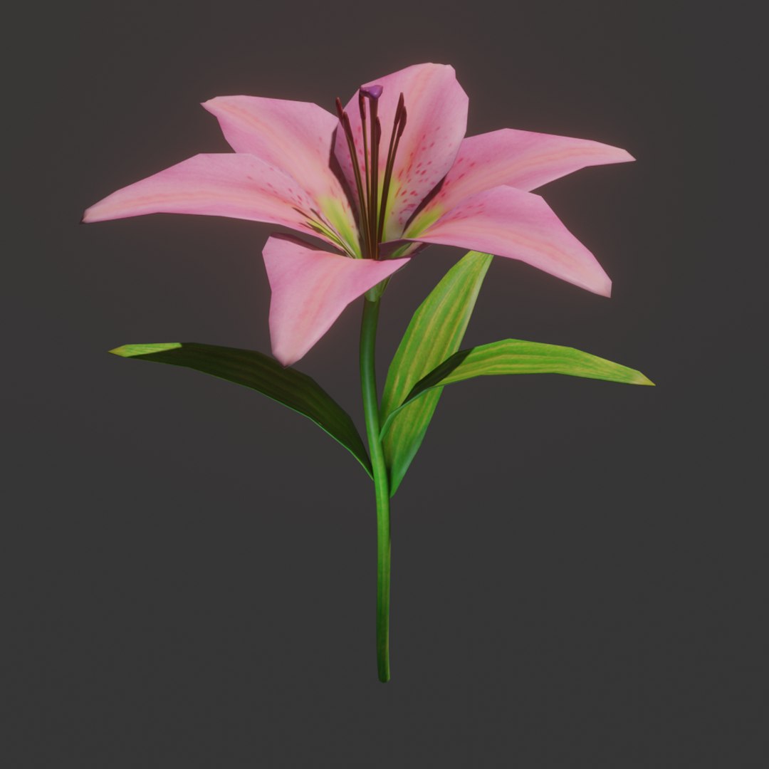 Lily Flower Model - TurboSquid 1594907
