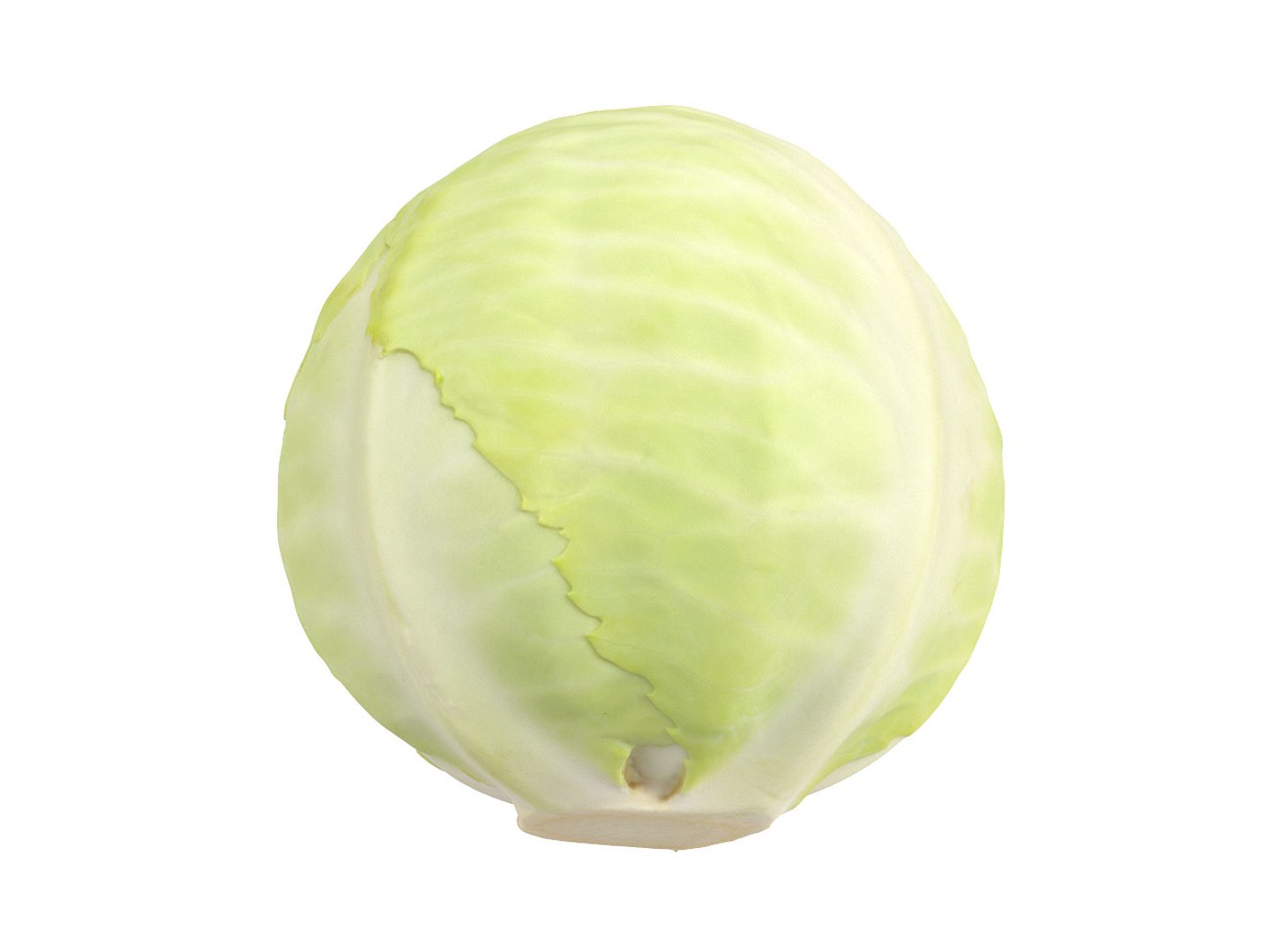 3D Cabbage Scan - TurboSquid 1375025