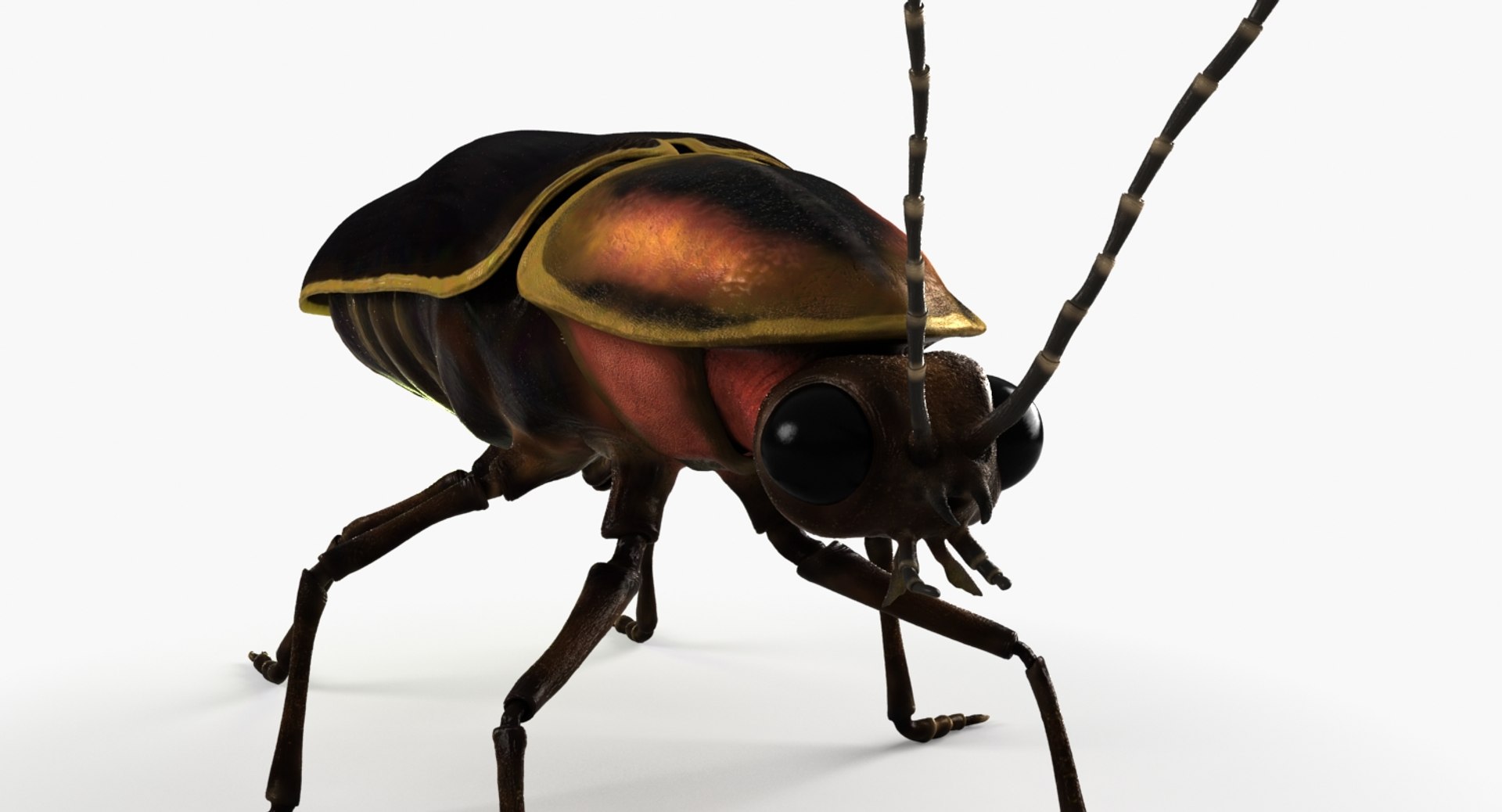 3D Model Firefly Lighting - TurboSquid 1153658