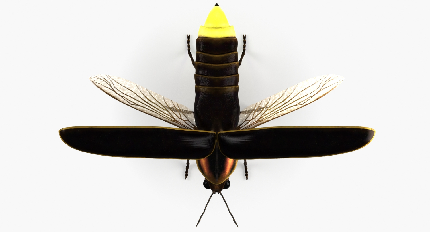 3D model firefly lighting - TurboSquid 1153658