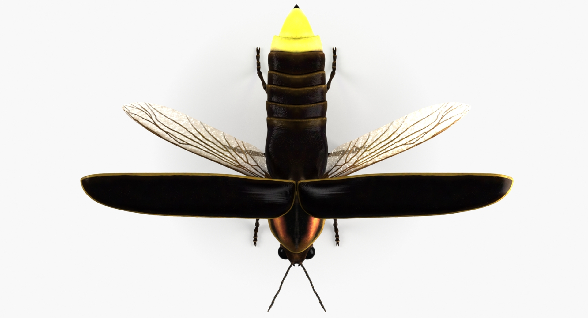 3D model firefly lighting - TurboSquid 1153658