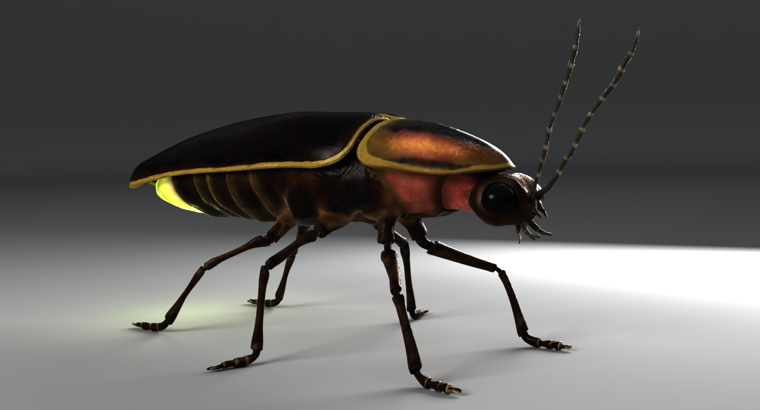 3D model firefly lighting - TurboSquid 1153658