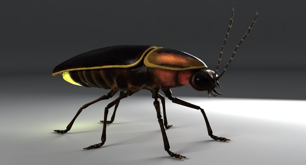 3D model firefly lighting - TurboSquid 1153658
