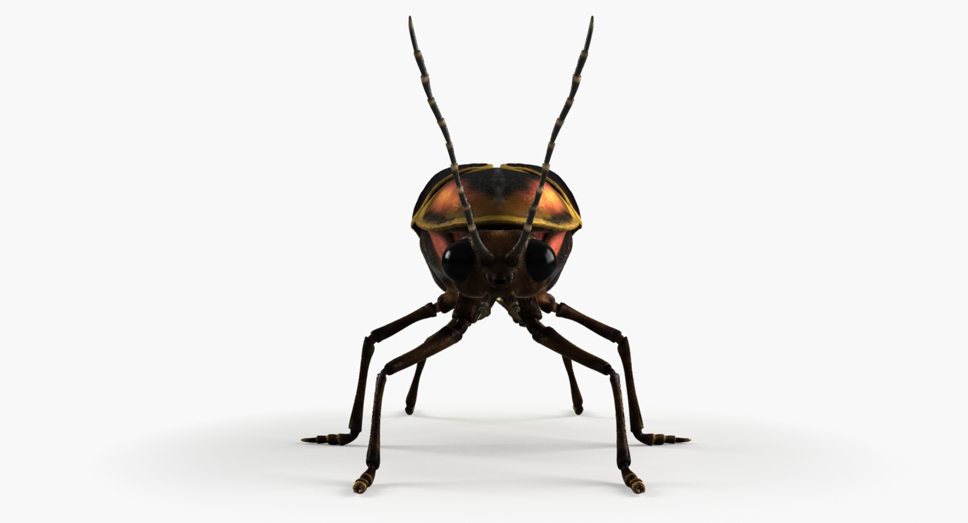 3D model firefly lighting - TurboSquid 1153658