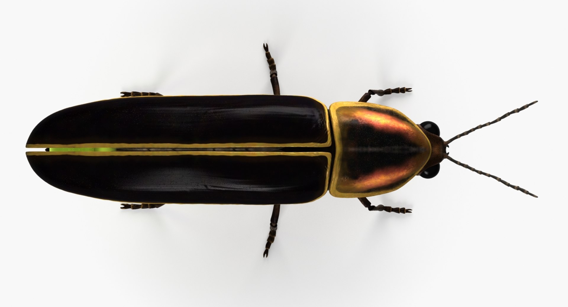 3D Model Firefly Lighting - TurboSquid 1153658